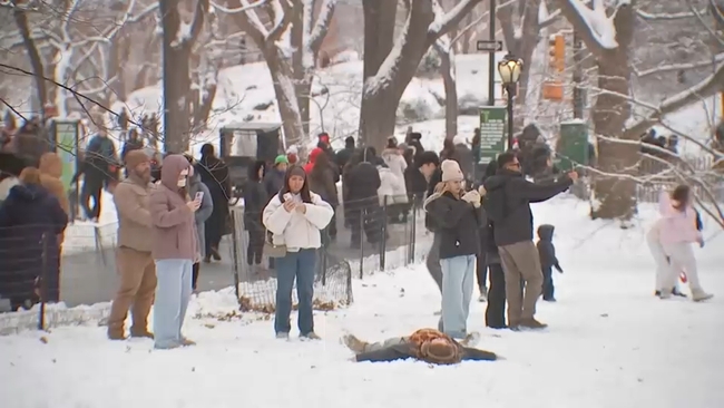 Winter storm NYC live updates: NYC area digs out from biggest snowstorm ...