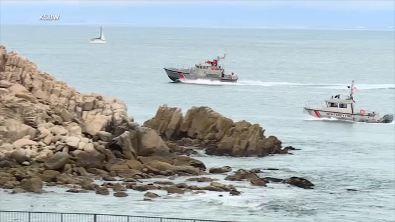 Erica Fox death: Body discovered after swimmer went missing in possible ...