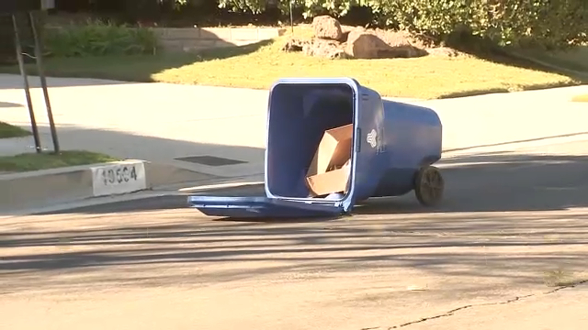 Gusty Santa Ana winds bring downed trees, damage to cities across ...