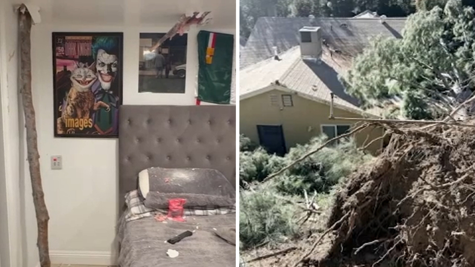 Tree smashes through Sylmar house during Santa Ana winds - ABC7 Los Angeles