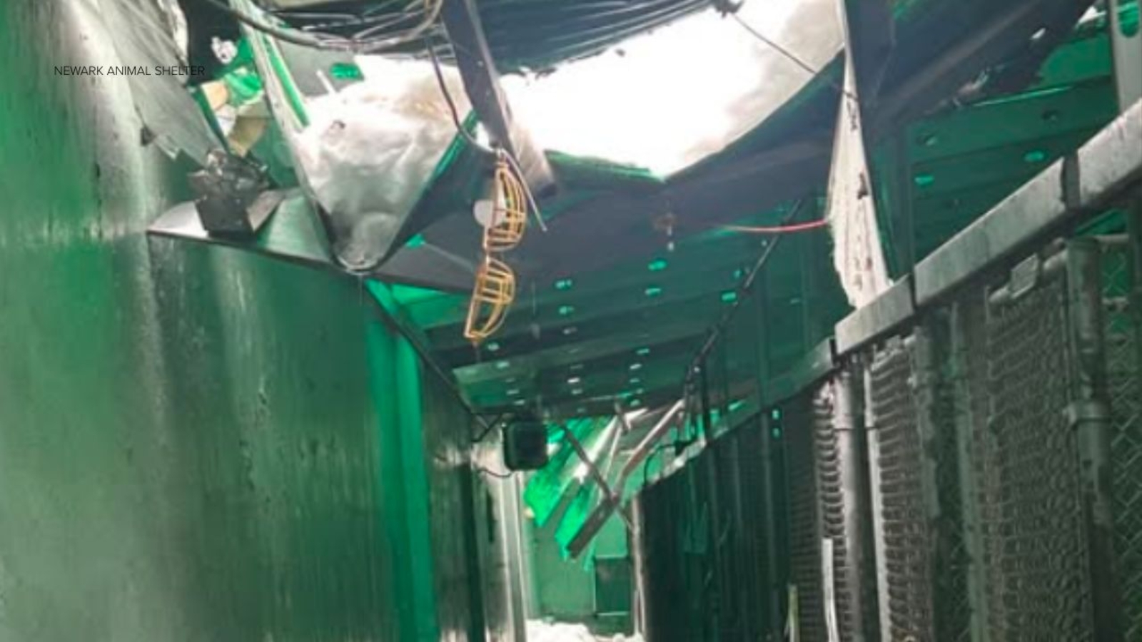 Roof collapse at Associated Humane Societies of Newark, New Jersey ...