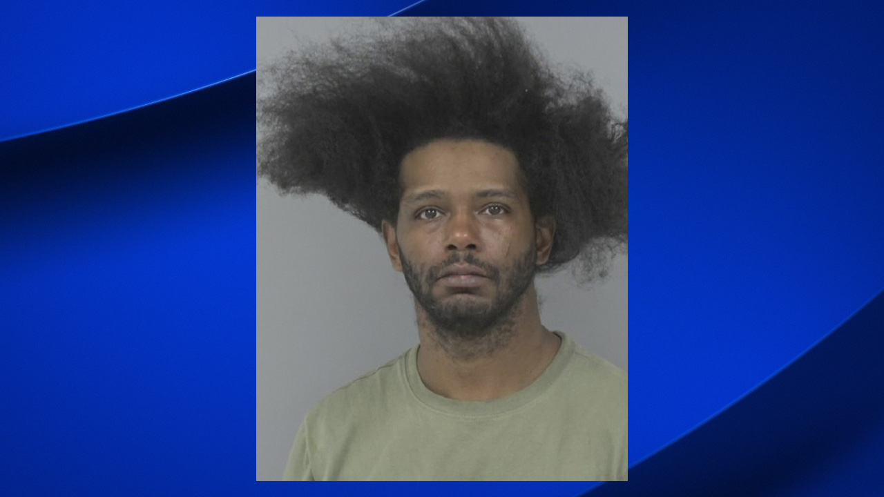 Thomas Wright: Man accused of assaulting elderly couple in North ...