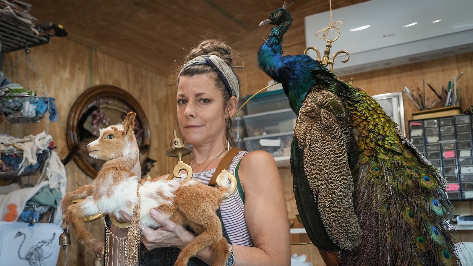 Pa. taxidermist lovingly memorializes pets, farm animals - 6abc ...