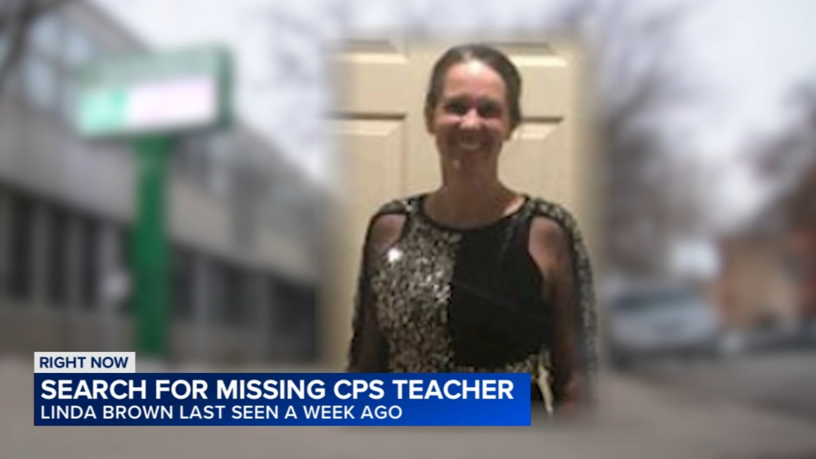 Family to resume search lakefront for missing Chicago Public Schools teacher Linda Brown - ABC7 ...