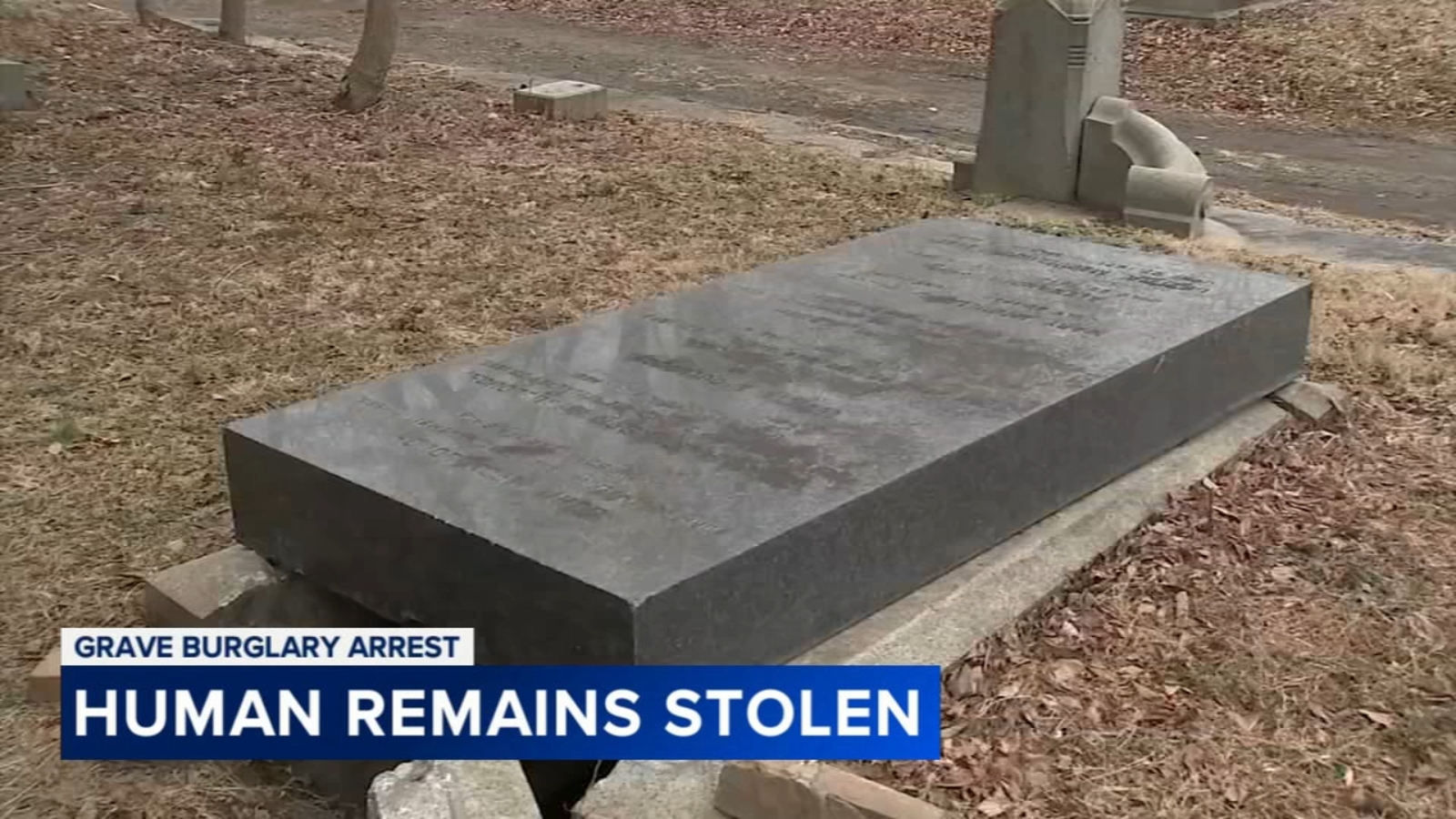 Jonathan Gerlach case: Court docs reveal accused grave robber's months ...