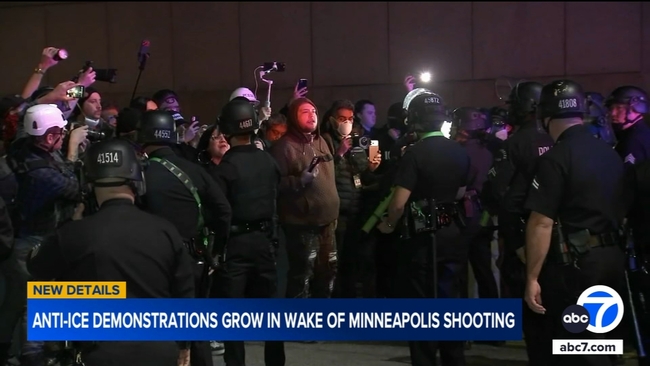 Landscapers wrestle with immigration agents in Downey, video shows ...