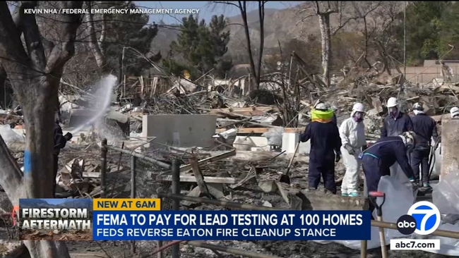 Eaton Fire: Great Altadena Poppy Project aims to sow a quarter-billion ...