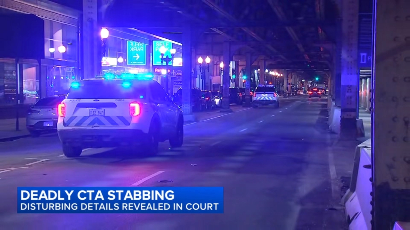 Chicago CTA Stabbing: Man Charged in Deadly Attack on Blue Line Train ...