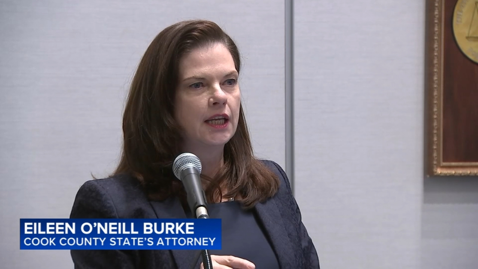 Cook County State's Attorney Eileen O'Neill Burke has prioritized human ...