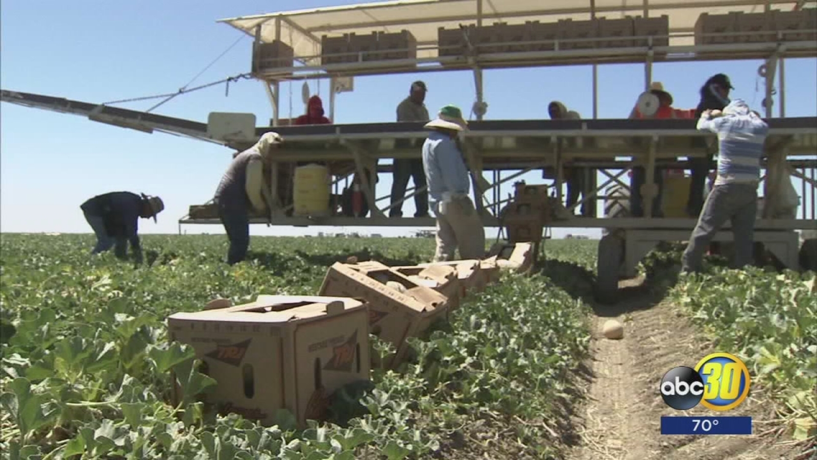 Farmers worried about farm worker shortage as the busy season ...