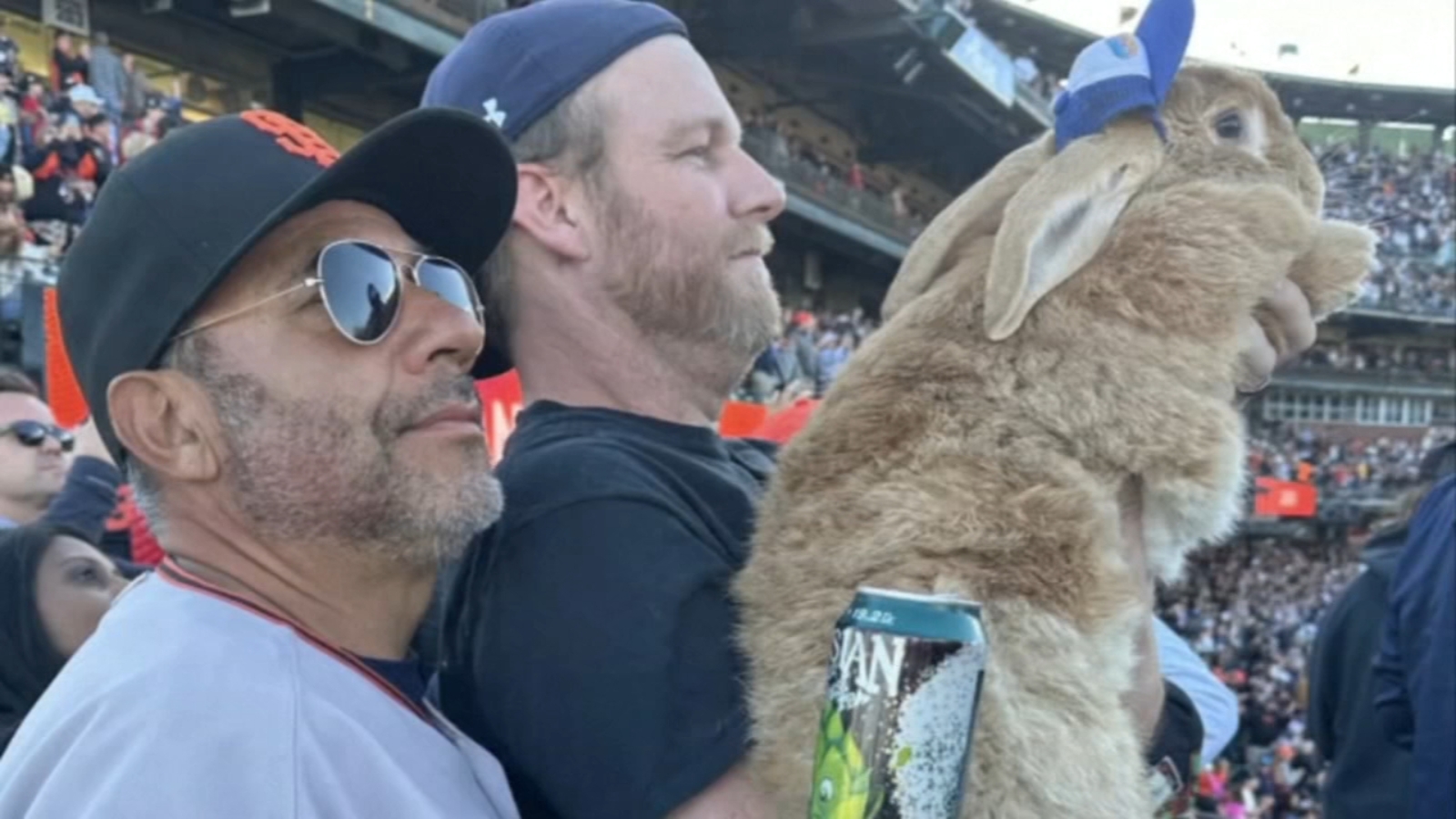 Legacy of SF celebrity therapy bunny 'Alex the Great' lives on as a new ...