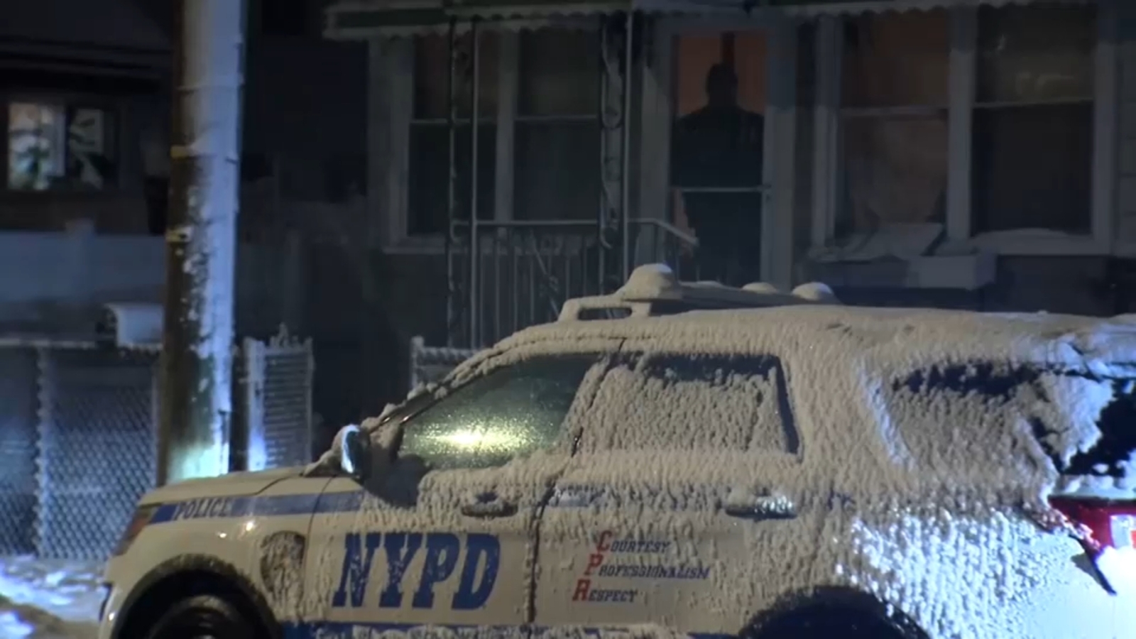 Deadly pit bull attack: Man killed by dog inside home in New Dorp ...