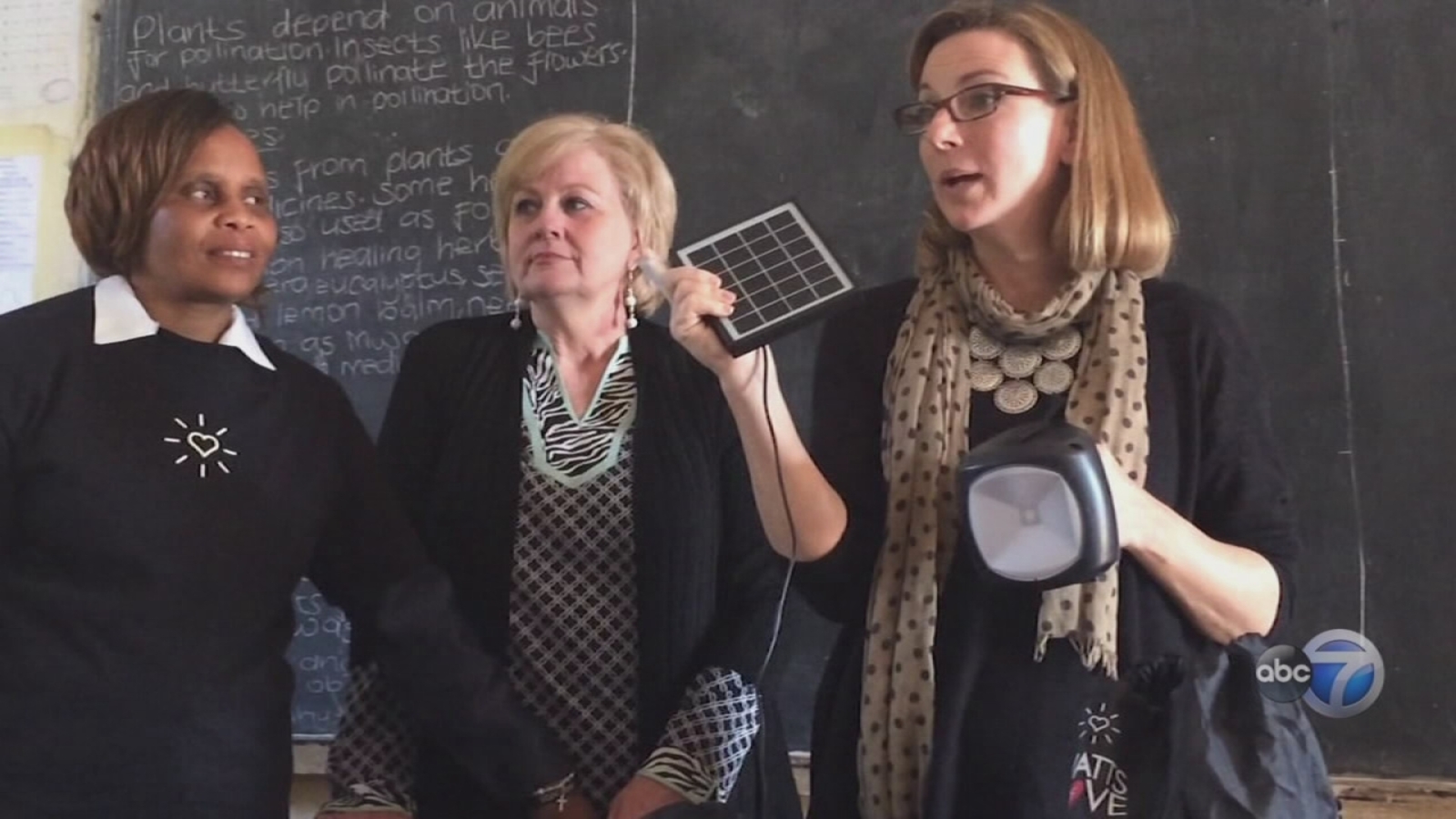 4-Star Chicagoan: Nancy Economou, of Watts of Love - ABC7 Chicago