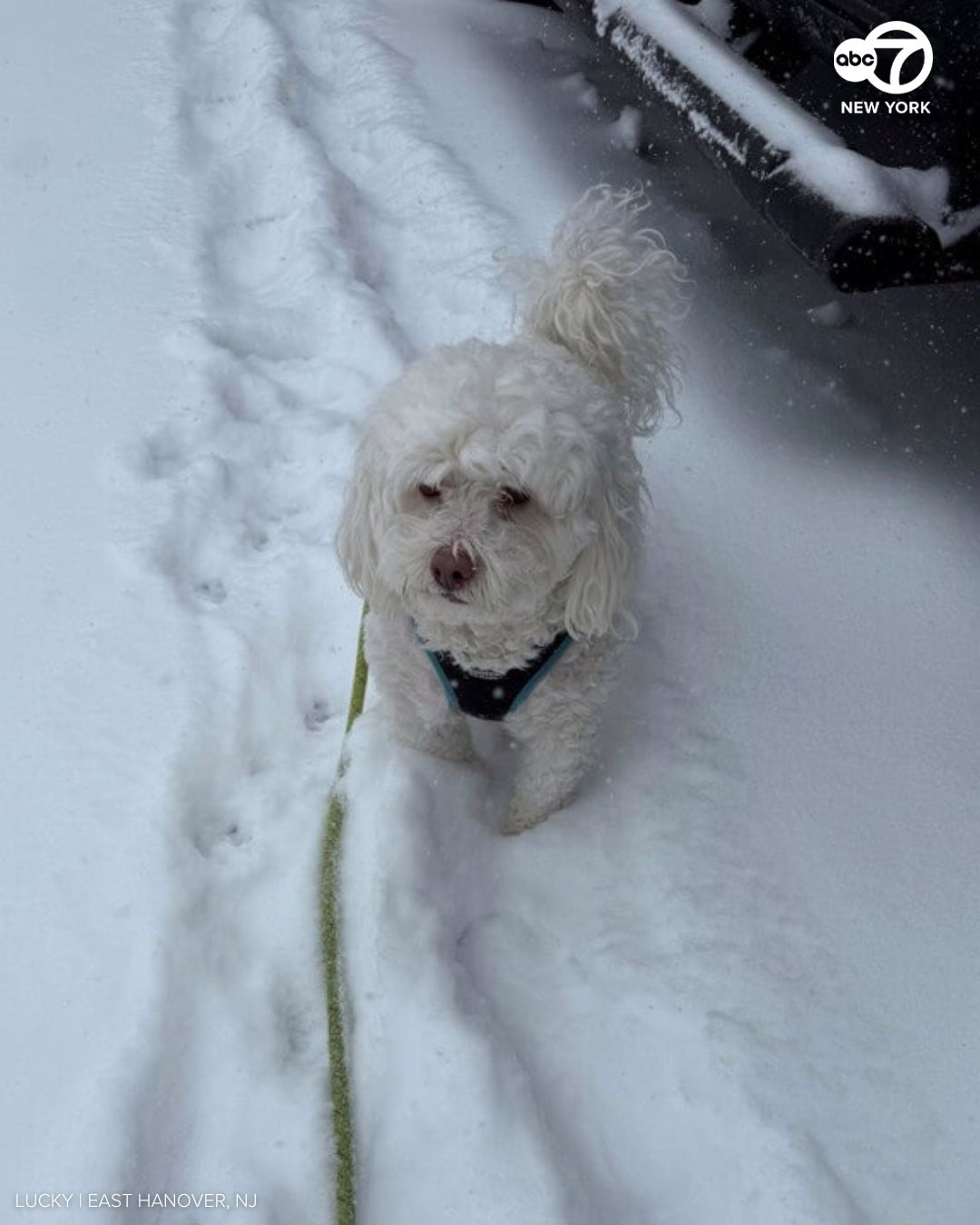 Snow removal crews out in full force in Orange County - ABC7 New York