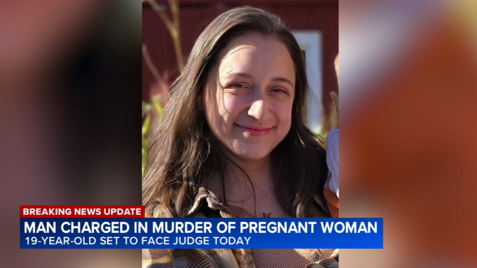 Downers Grove murder: Nedas Revuckas due in court on charges of killing ...