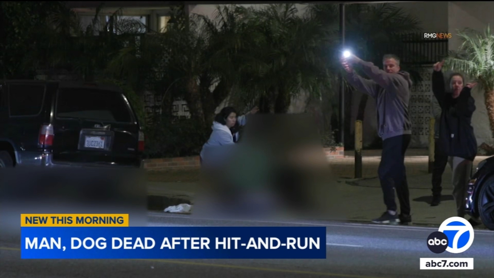 Man, dog killed in Sherman Oaks hit-and-run crash involving Maserati ...