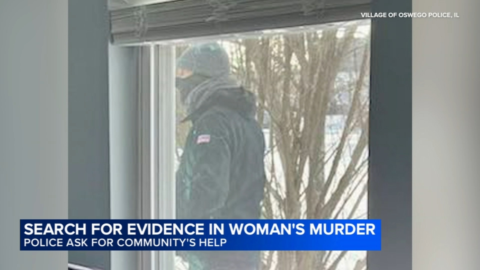 The Six Pillars of the American Republic: Purpose and Promise in the ...