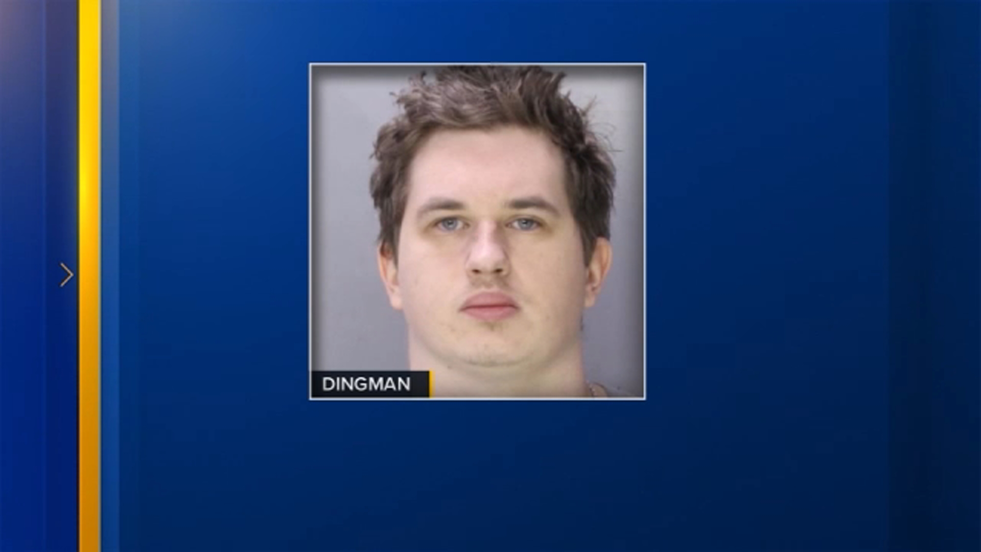 Holland Elementary School teacher's assistant charged in child ...