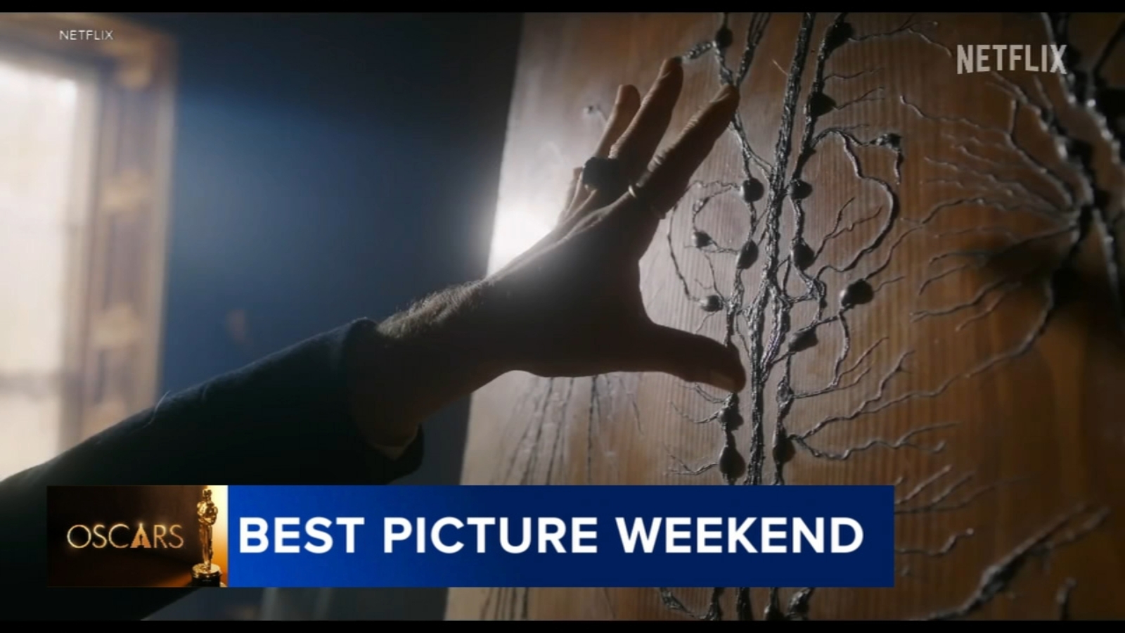 See all 10 Oscars Best Picture nominees on the big screen this weekend ...