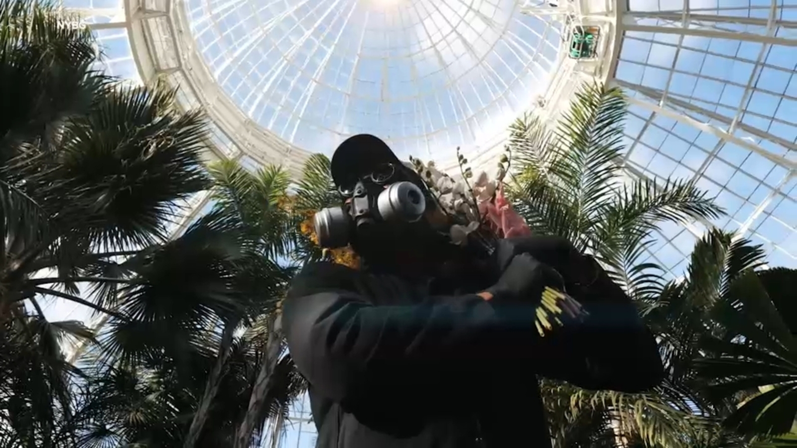 NYBG annual orchid show opens Saturday featuring Queens native and ...