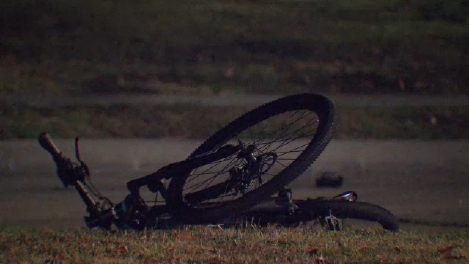 Woman pronounced dead after being hit by SUV while riding electric bike ...