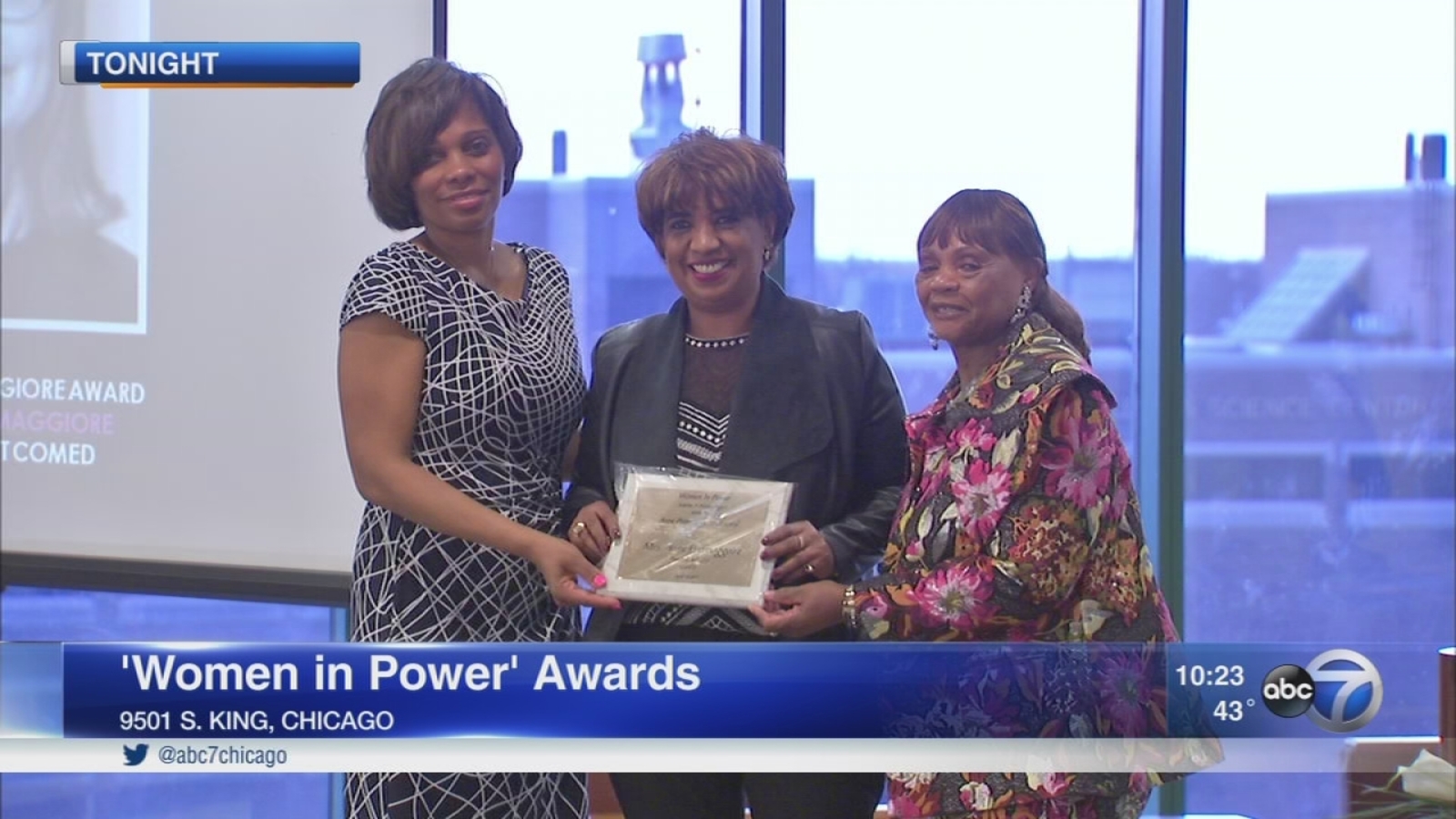19 honored during Women in Power event - ABC7 Chicago