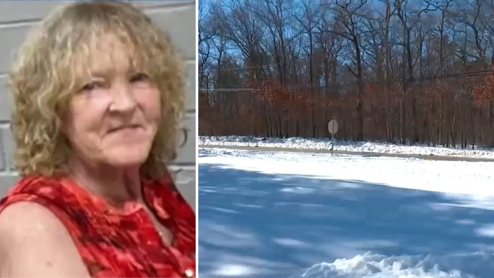 Suffolk County body found: Search for missing woman turns into murder ...
