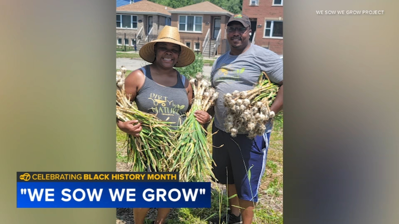 Chicago Urban Farming: We Sow We Grow Project taking back the soil in ...