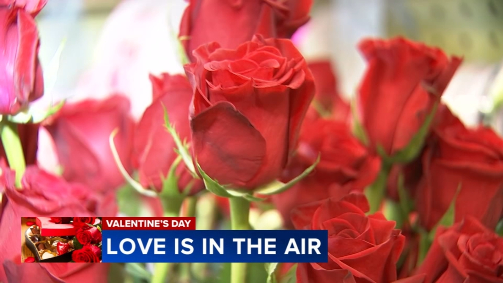 Valentine's Day rush fills restaurants, florists and candy shops across ...