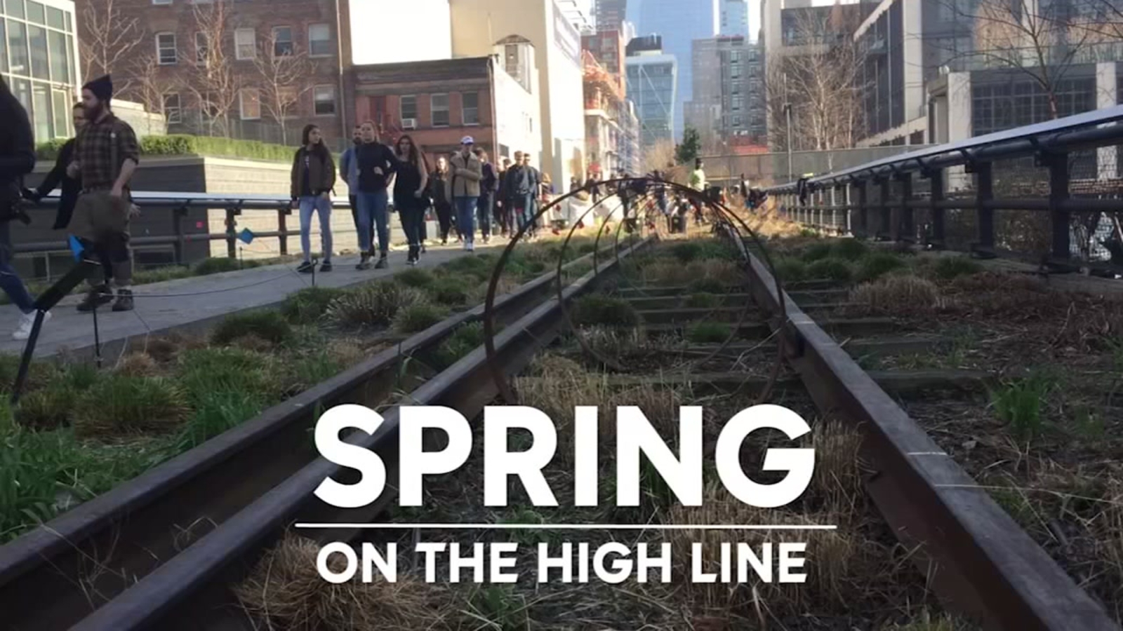 Spring on the High Line in New York City - ABC7 New York