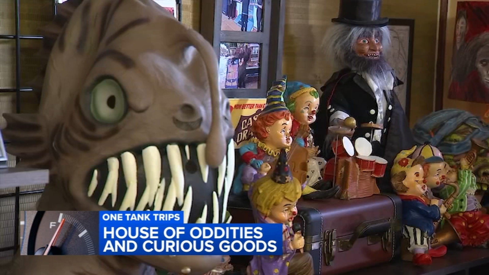 One Tank Trips: The House of Oddities and Curious Goods - 6abc Philadelphia