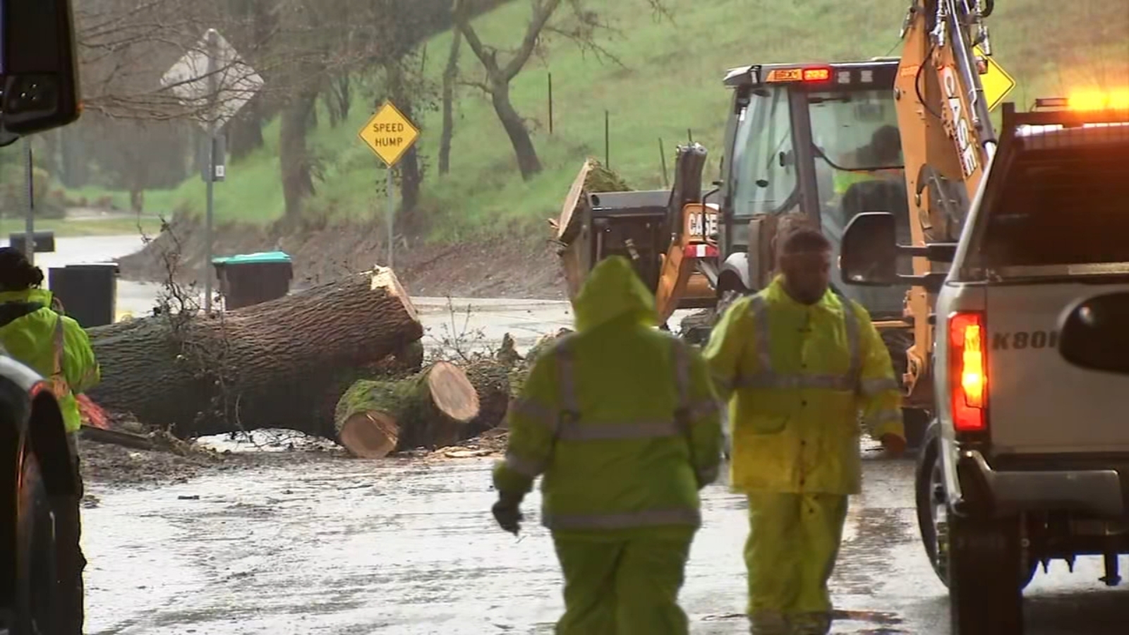 Storm topples tree, roads flooded in East Bay neighborhoods - ABC7 San ...