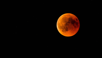 March s Full Moon Brings Rare Blood Moon Lunar Eclipse What To Know