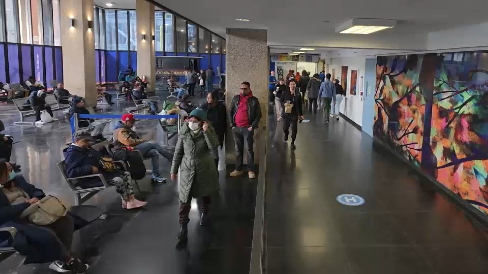 Bellevue's warming center emerges as a model for humane care during ...