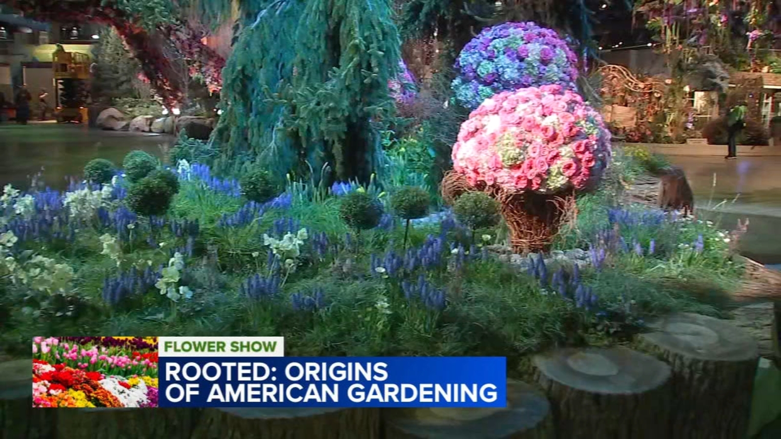 Burst of vibrant blooms as 2026 Philadelphia Flower Show opens to ...