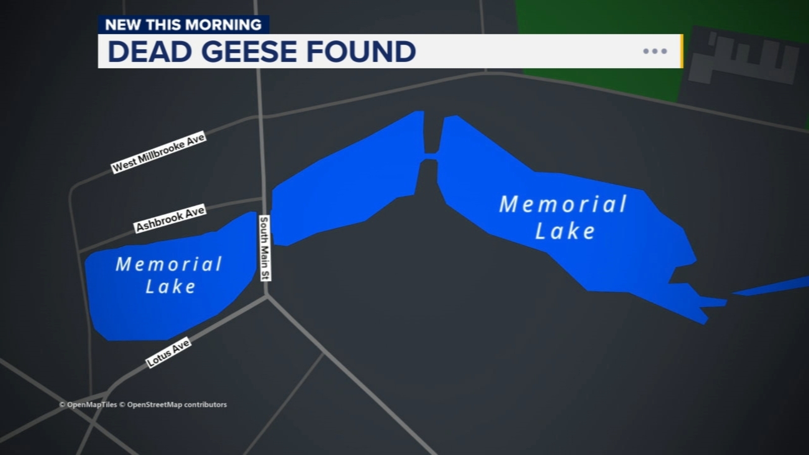 More dead geese found in New Jersey amid possible bird flu outbreak ...