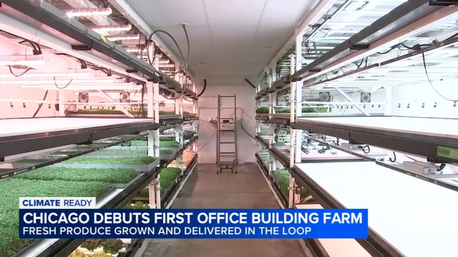1st vertical farm in downtown office building in US now in Chicago's ...