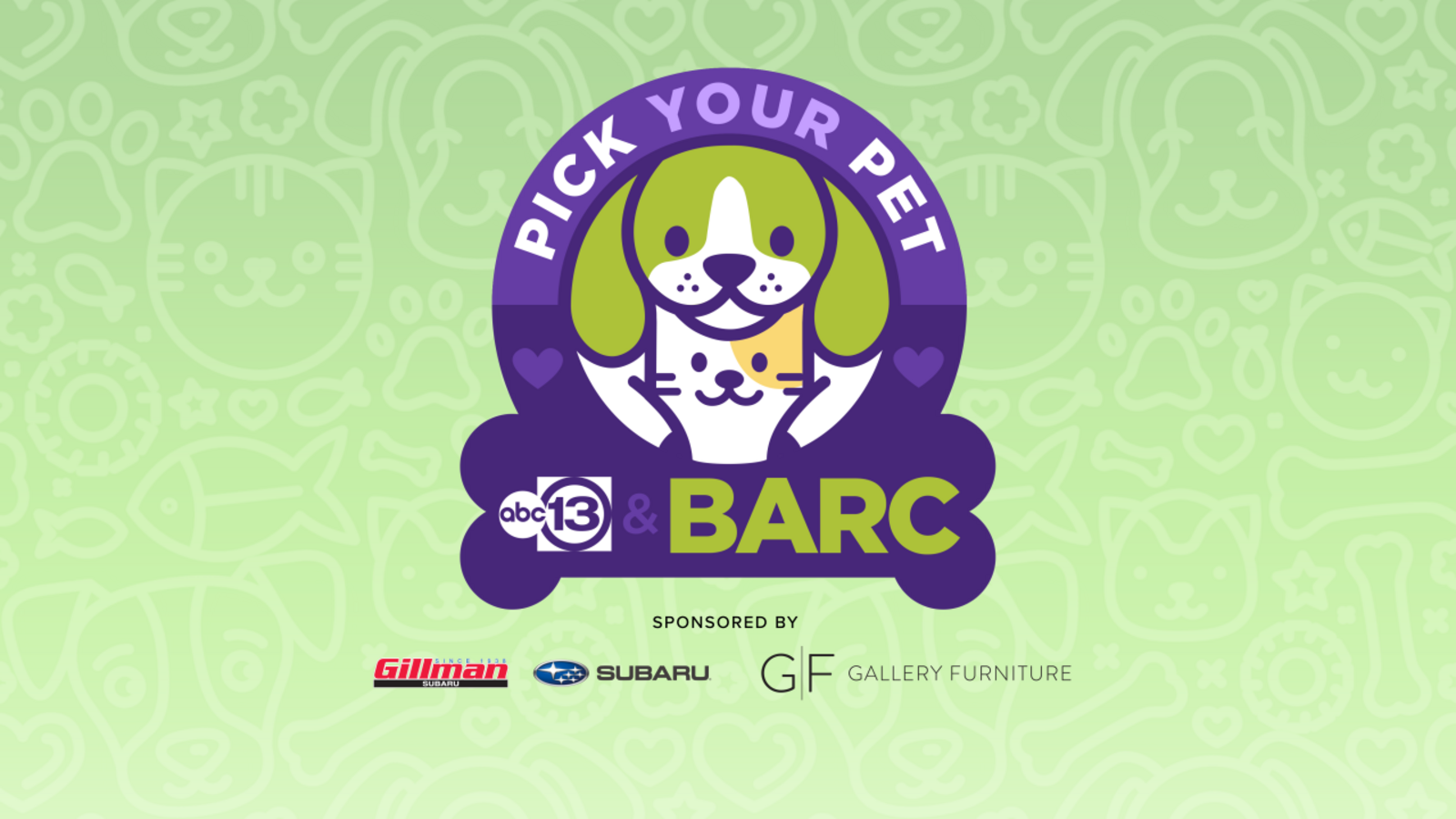 2026 ABC13 Pick Your Pet Adoption Drive: 216 dogs and cats adopted from ...