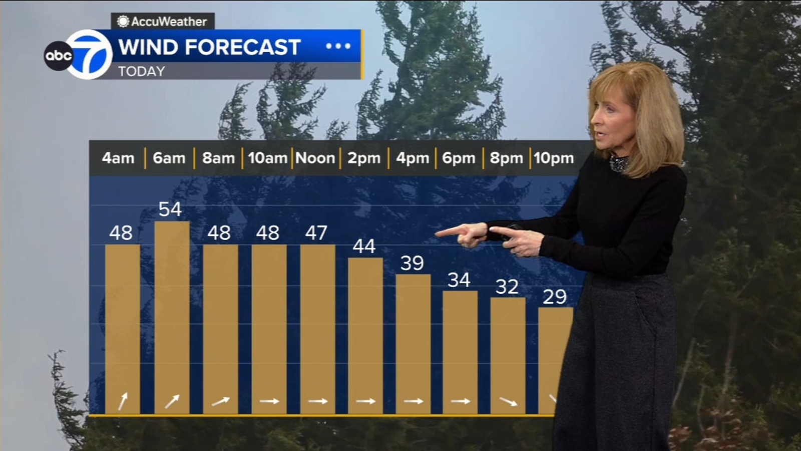 Chicago weather | AccuWeather Alert: Wind guests of 50-60 mph Friday ...