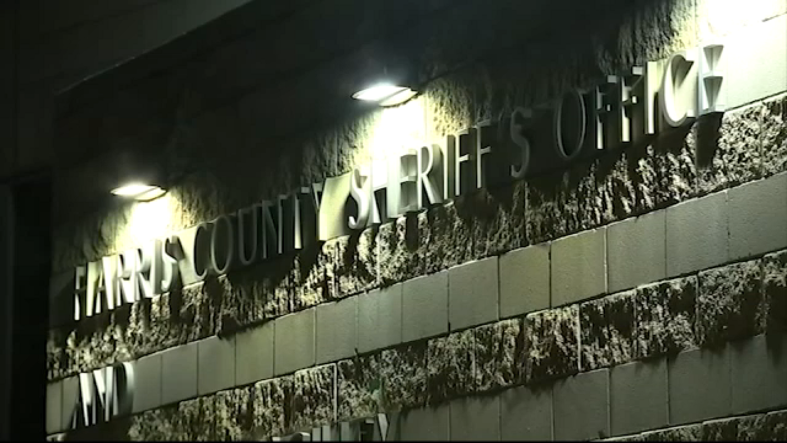 Woman arrested for allegedly helping murder suspect avoid capture ...