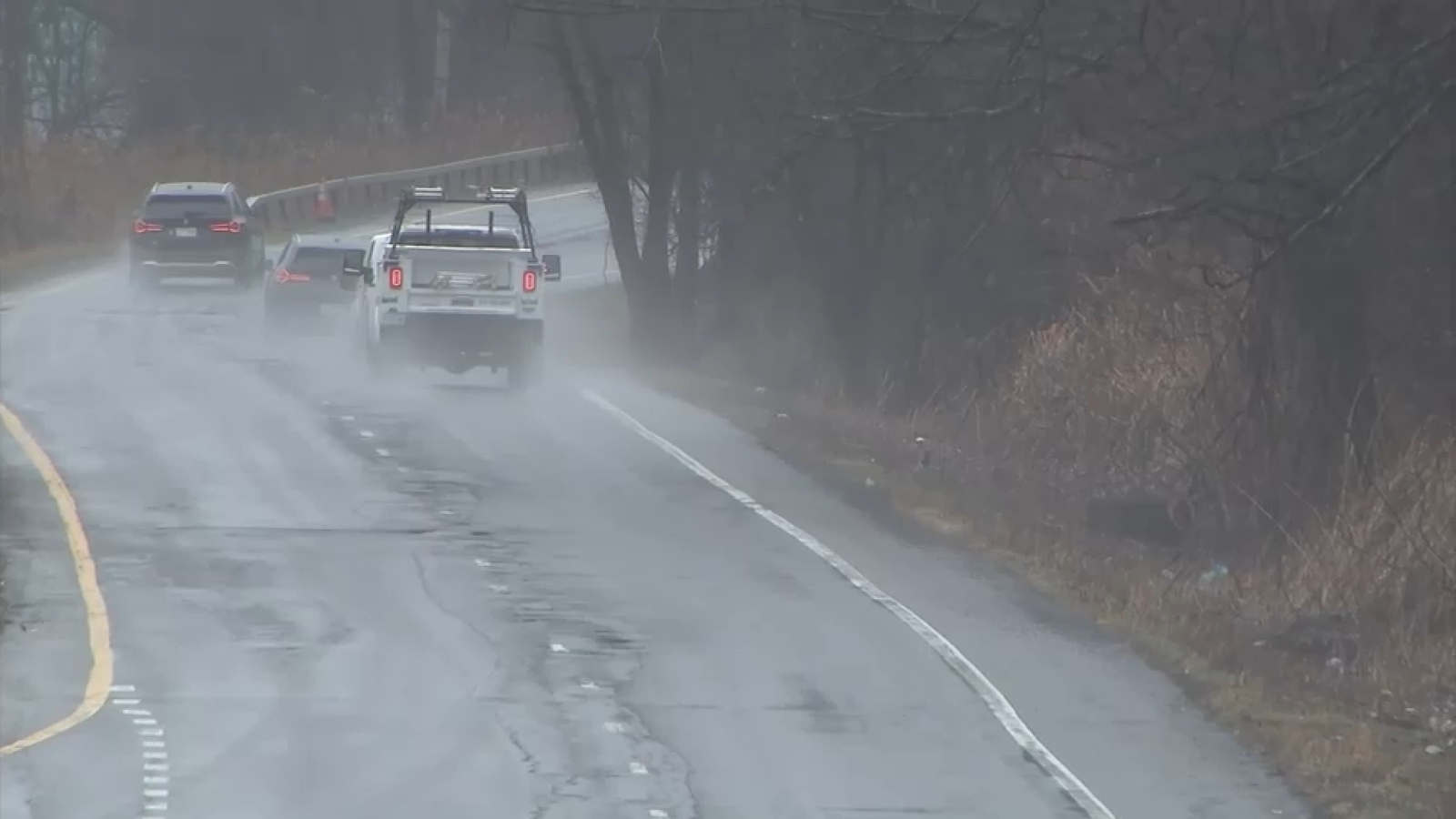 NYC Weather: Driver avoiding downed tree killed amid windswept ...