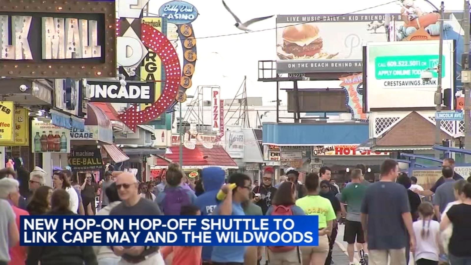 New 'Coastal Cruiser' shuttle will link Wildwoods to Cape May County ...