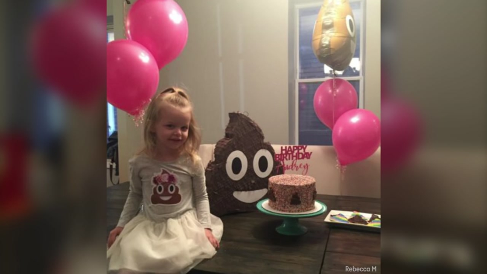 Mom seriously delivers on 3-year-old's wish for a poop-themed birthday ...
