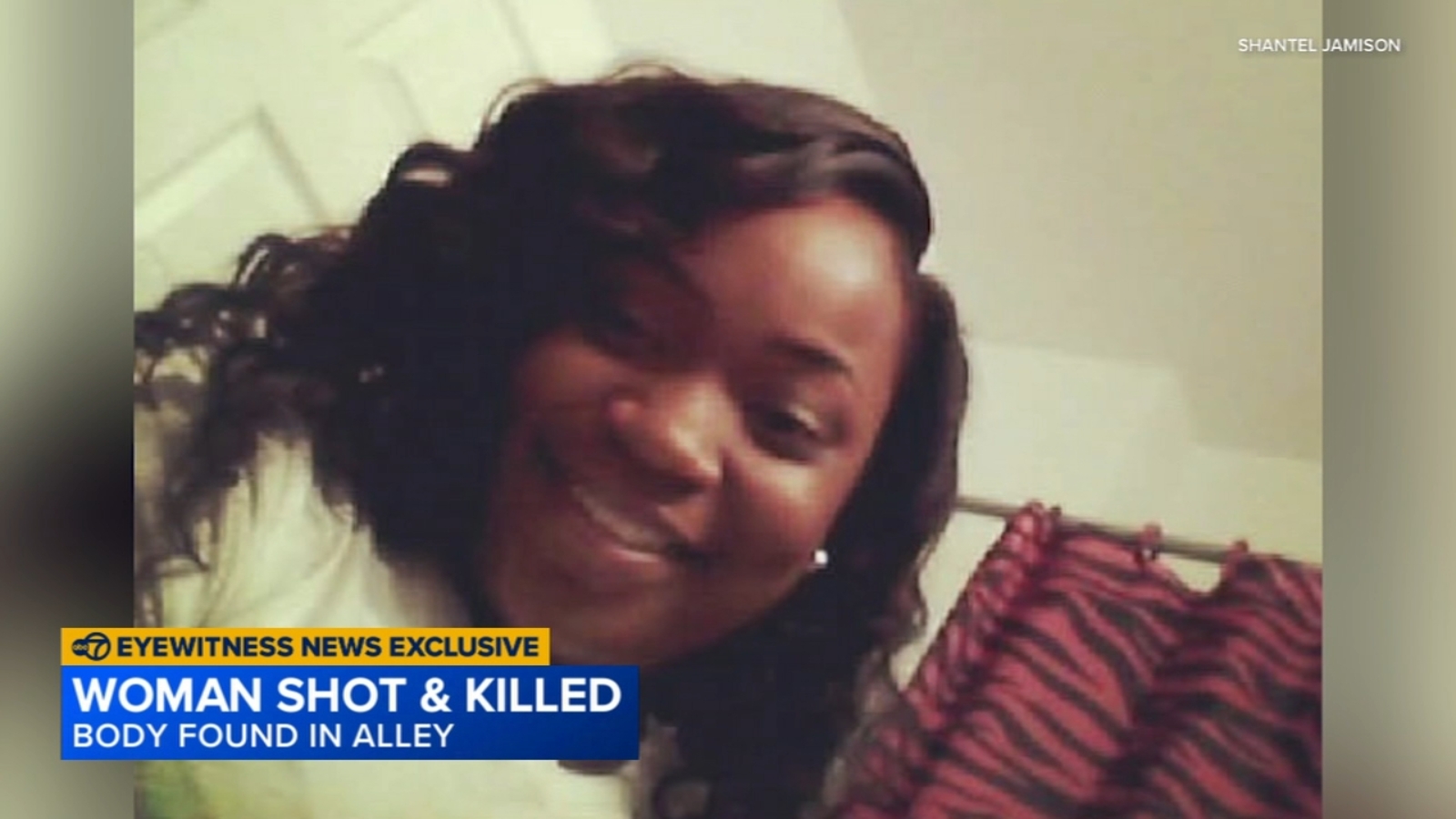 Chicago shooting: Family seeks justice after Brandy Fleming found shot ...