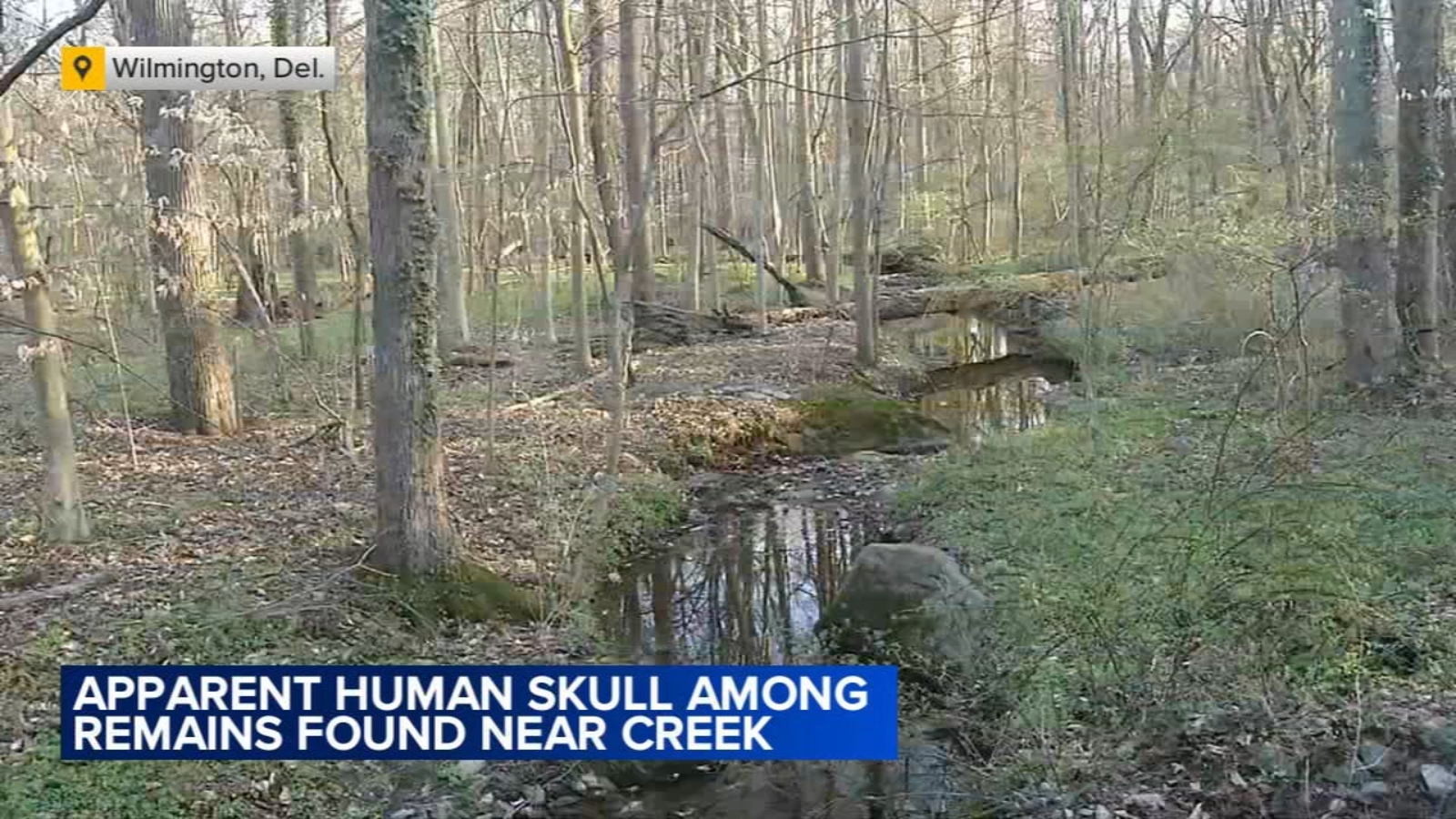 Apparent human skull among remains found along creek in Wilmington ...
