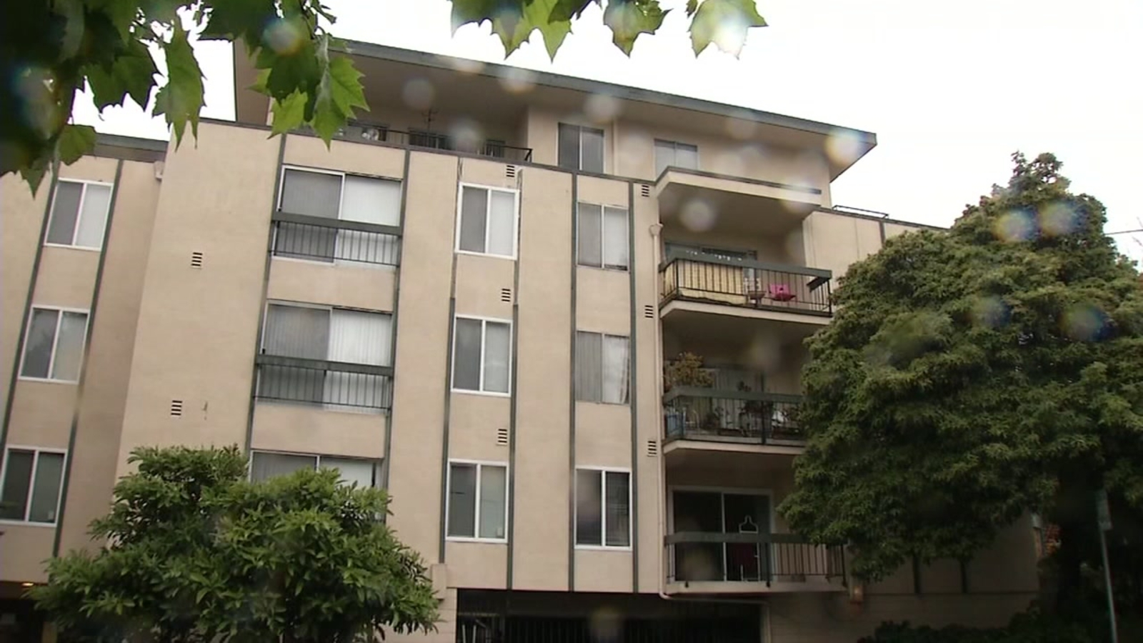 UC Berkeley student dies after falling off balcony near campus - ABC7 ...
