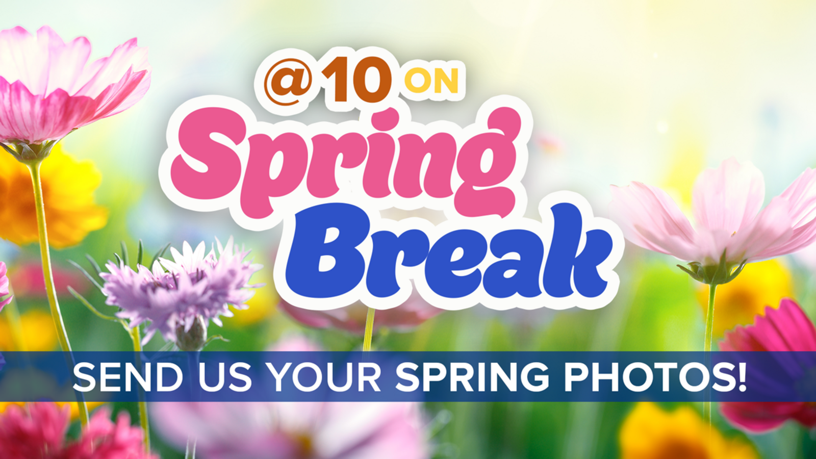 Share your spring photos with Eyewitness News - ABC7 New York