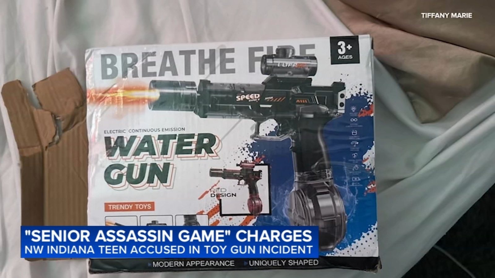 Portage, Indiana 'senior assassins' game: Adrian Williams facing felony ...