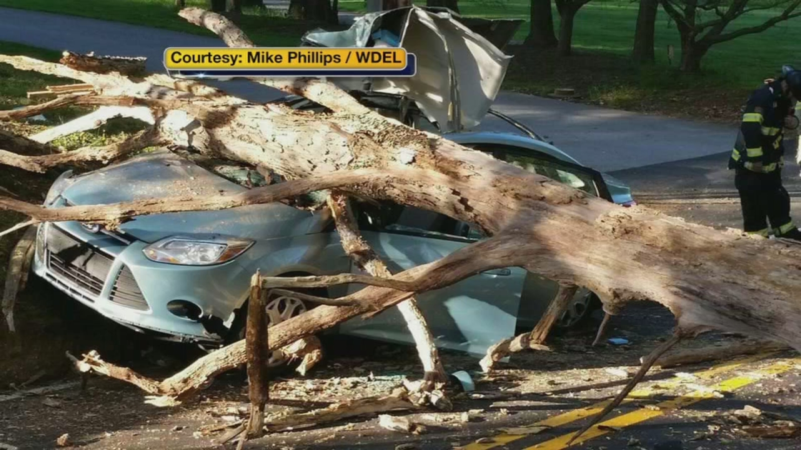 Delaware AG, son avoid serious injuries when tree hits car - 6abc ...