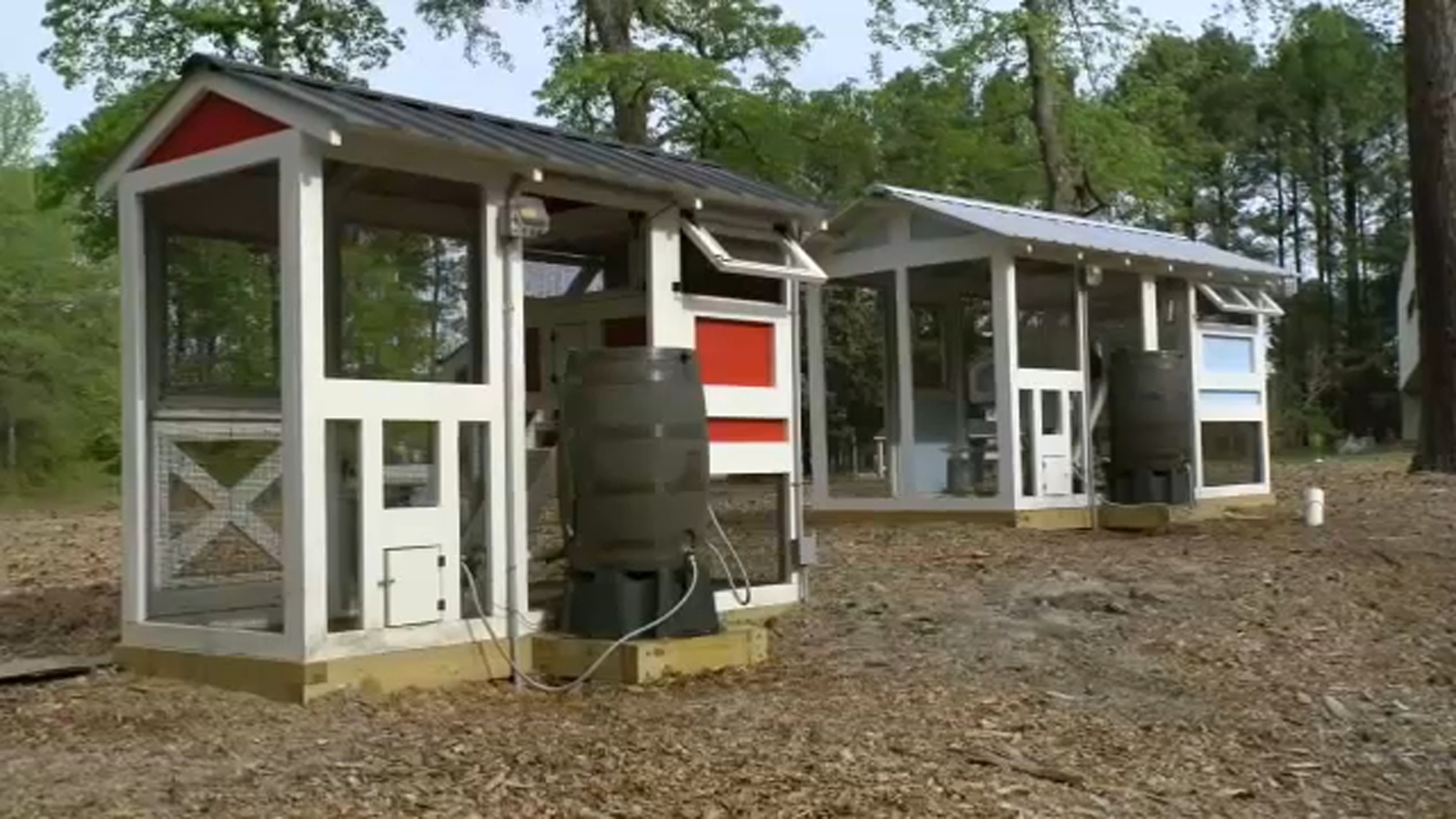 NC Made: Carolina Coops hatches big idea and now it's a global success ...